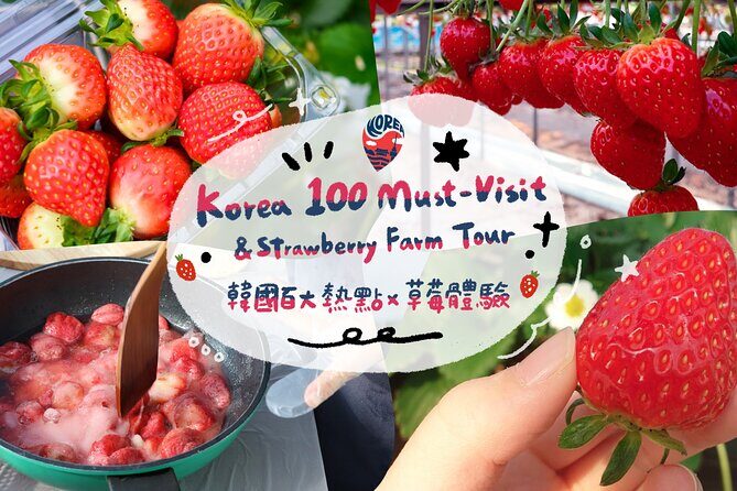 Strawberry Picking+Nami Island+Eobi Valley+Garden Lighting Fest - Review of the Strawberry Picking+Nami Island+Eobi Valley+Garden Lighting Fest Tour