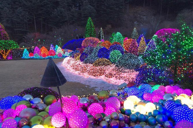 Strawberry Picking+Nami Island+Eobi Valley+Garden Lighting Fest - The Sum Up