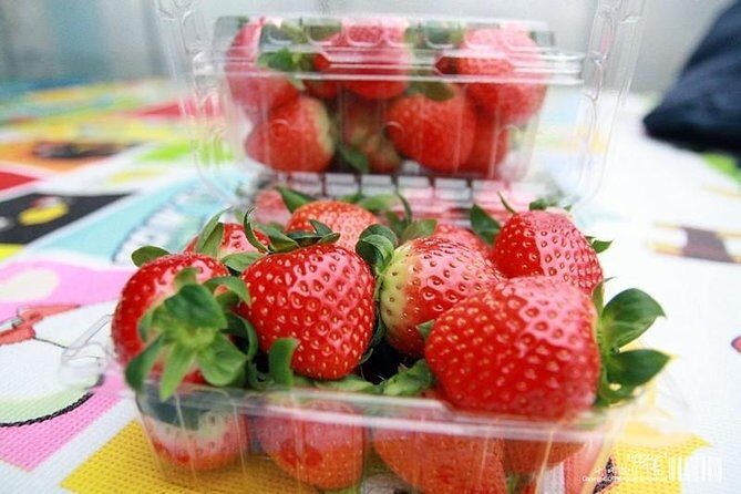 Strawberry Picking+Nami Island+Eobi Valley+Garden Lighting Fest - FAQs