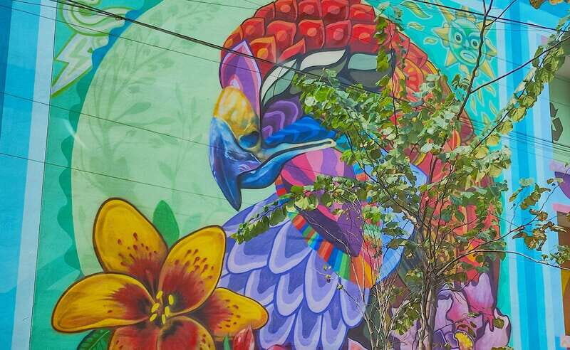 Street Art Tour: Downtown Mexico City - Who Will Benefit Most?