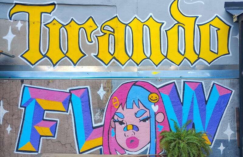 Street Art Tour: Downtown Mexico City - Final Thoughts