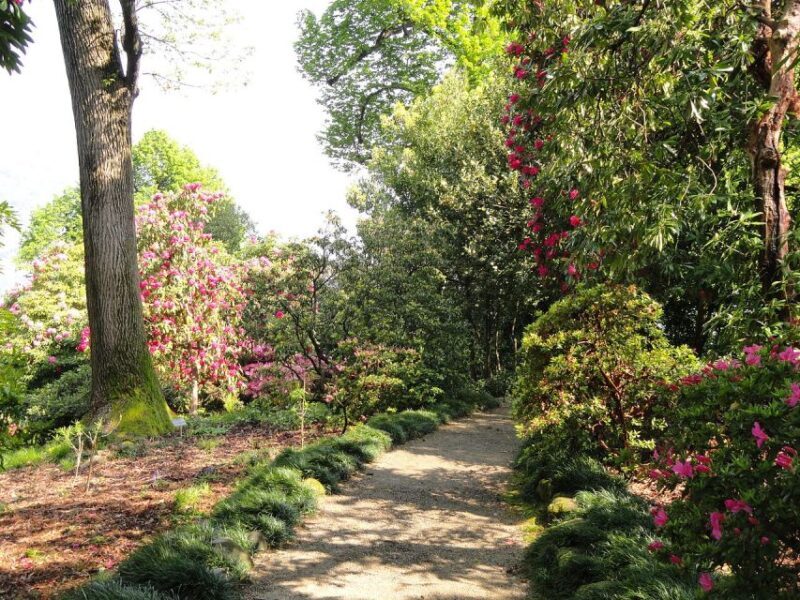 Stresa: 3 Borromean Islands Boat Tour - The Sum Up: Who Is This Tour Perfect For?