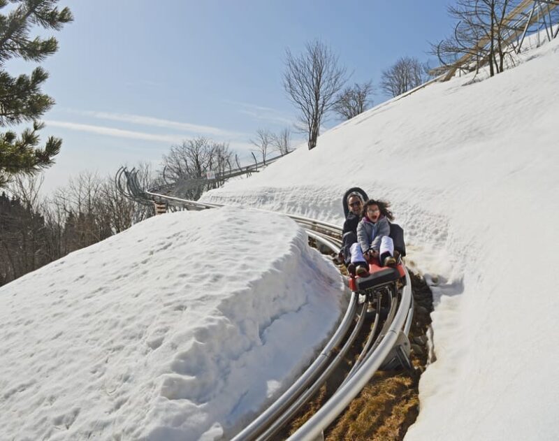Stresa: Alpyland Alpine Coaster Ride on Mount Mottarone - The Experience for Different Types of Travelers