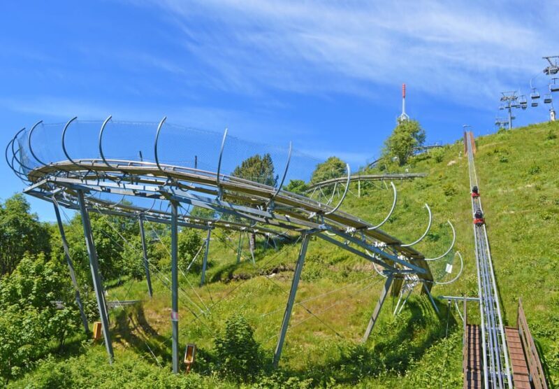 Stresa: Alpyland Alpine Coaster Ride on Mount Mottarone - The Sum Up