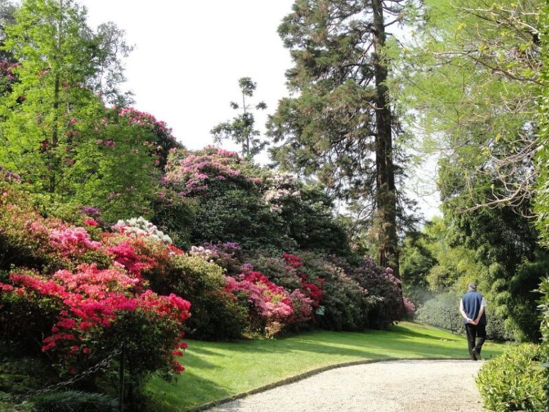 Stresa: Madre & Bella Borromean Islands Boat Trip - Final Thoughts: Who Will Love This Trip?