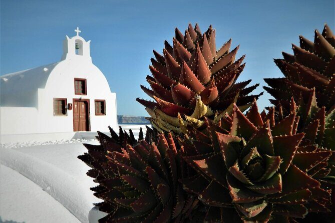 Stress-Free Santorini Shore Excursion: Private Highlights Tour - What Travelers Say