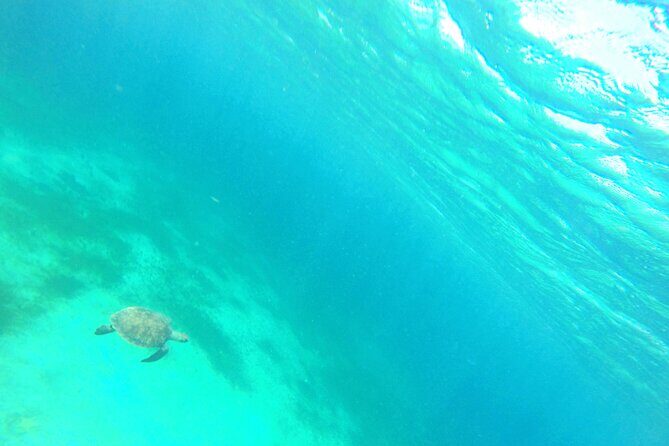 Stroll and Initiation to Sailing in the Baie des Saintes - Who Will Enjoy This Tour?