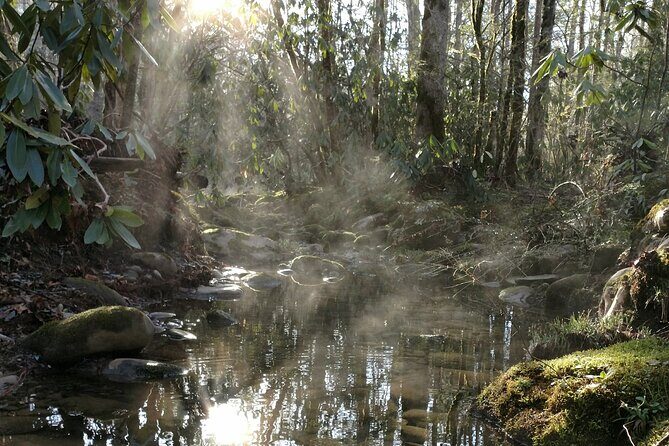 Stroll Back in Time Smokies History Streams and Forest Hike - FAQ
