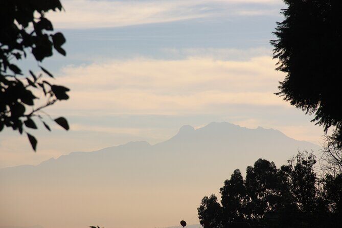Stroll in the famous floating gardens of ancient Mexico - Introduction