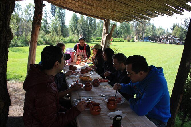 Stroll in the famous floating gardens of ancient Mexico - Key Points