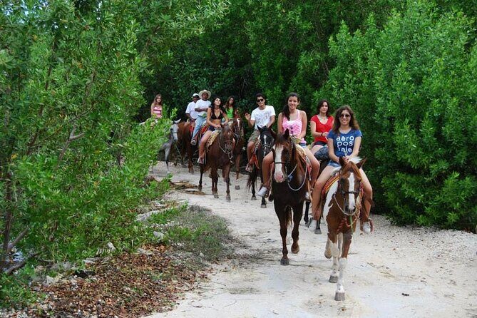 STROLL the Jungle Trails on a HORSE. Includes Transportation and Equipment. - Why This Tour Stands Out