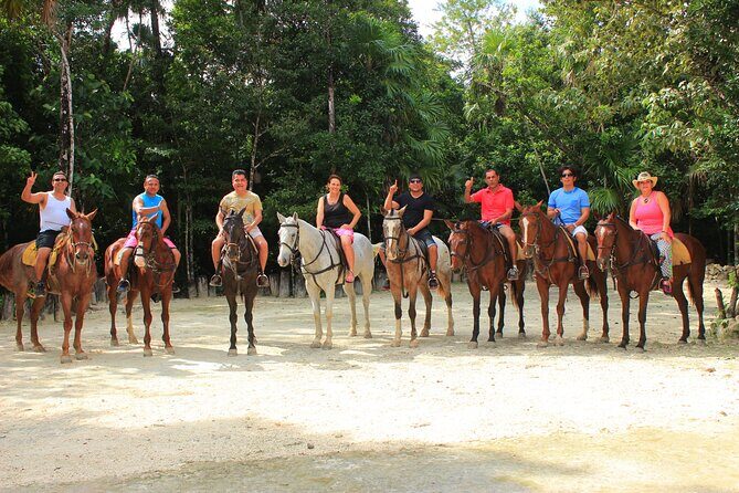 STROLL the Jungle Trails on a HORSE. Includes Transportation and Equipment. - Practical Tips for Participants