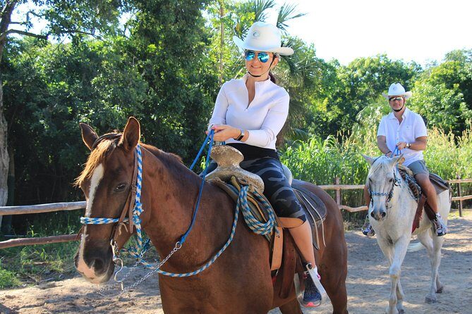 STROLL the Jungle Trails on a HORSE. Includes Transportation and Equipment. - The Sum Up