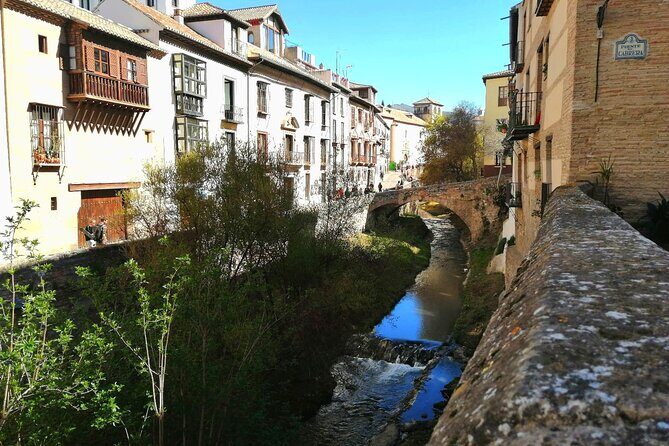 Stroll through Granada: historic center and Albayzín - Who Would Appreciate This Tour?