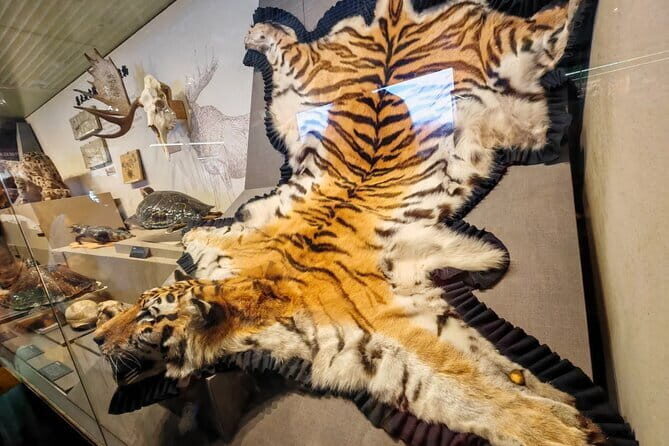 Stroll Through Modern Beijing: Heritage to Night Glamour - Key Points