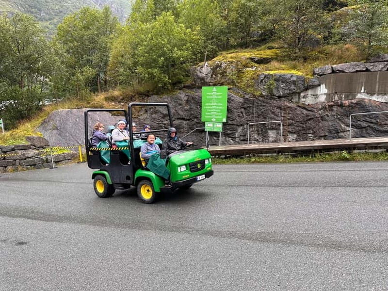 Stryn: Briksdal Glacier and Loen Skylift Tour with Picnic - Key Points