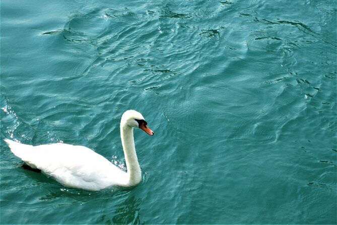 (STTG04) - Sightseeing Cruise at Geneva with Wine and Aperitif - An Authentic Lake Geneva Experience