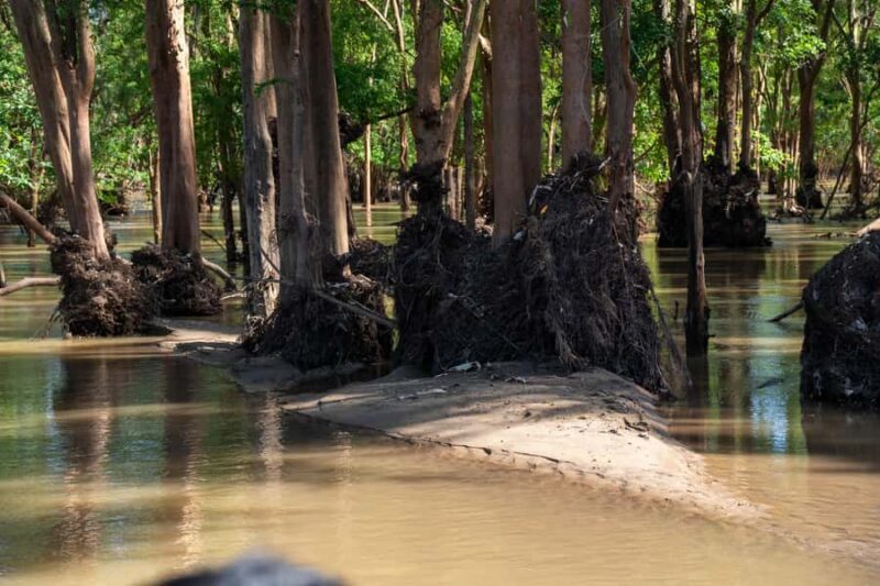 Stung Treng: 3 Nights Mekong River Boat Cruises and Kayaking - A Close Look at the Itinerary