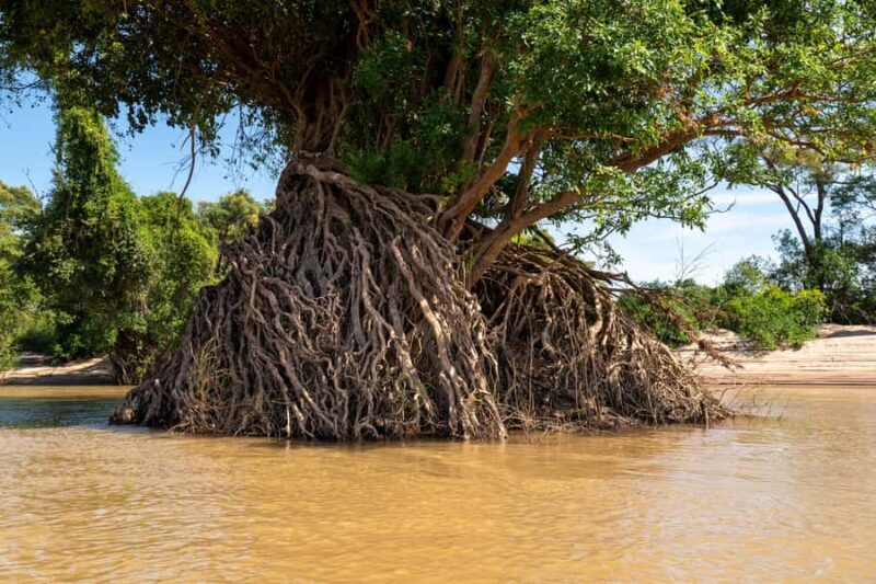 Stung Treng: 3 Nights Mekong River Boat Cruises and Kayaking - References