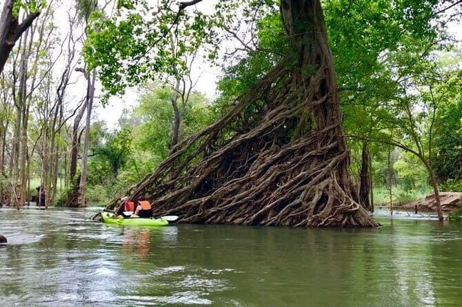 Stung Treng Canoeing In Mekong River - A Deep Dive into the Experience