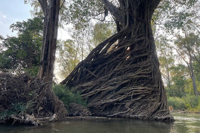 Stung Treng Canoeing In Mekong River - What Makes This Tour Special?