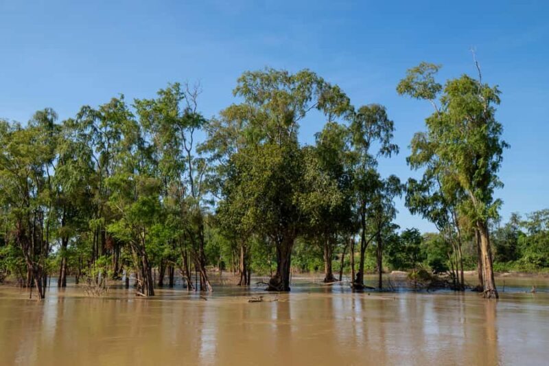 Stung Treng: Mekong River Boat Cruise to the Flooded Forests - Key Points