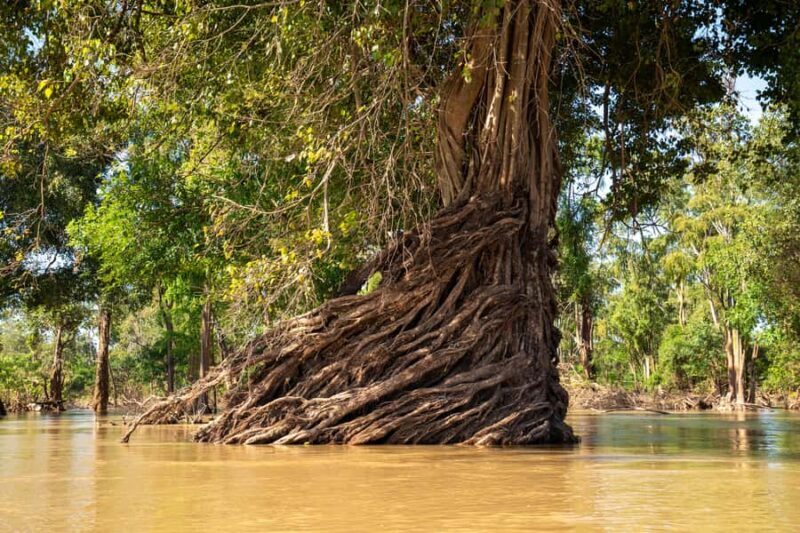 Stung Treng: Mekong River Boat Cruise to the Flooded Forests - The Itinerary in Detail