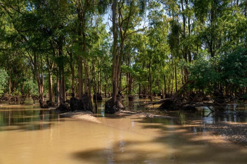 Stung Treng: Mekong River Boat Cruise to the Flooded Forests - Practical Considerations