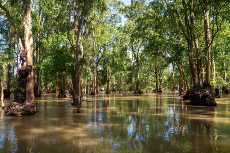 Stung Treng: Mekong River Boat Cruise to the Flooded Forests - Final Thoughts: Who Is This Tour Best For?