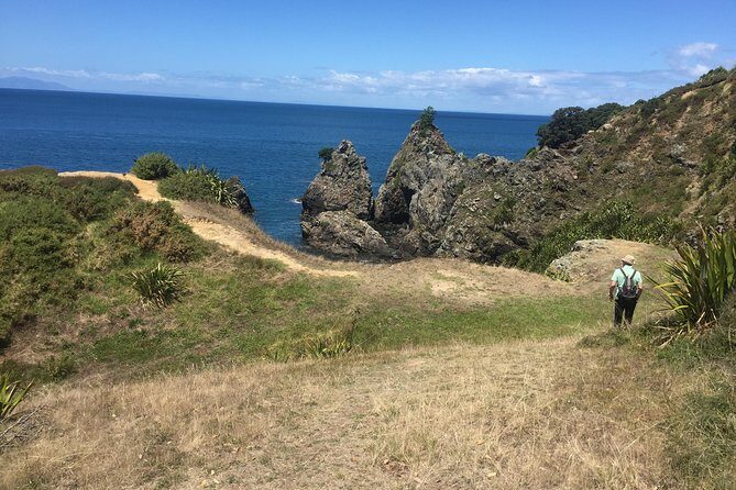 Stunning Auckland East Coast Walk & Wine Private Tour - Exploring the Stunning Auckland East Coast Walk & Wine Private Tour
