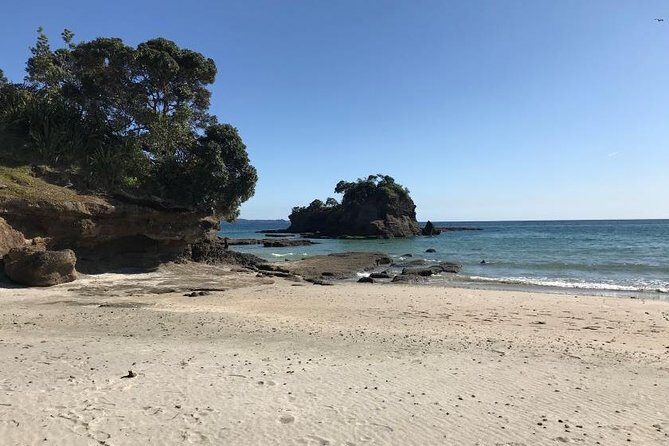 Stunning Auckland East Coast Walk & Wine Private Tour - FAQ