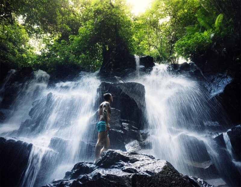 Stunning Bali Waterfall Tour and Experience a Jungle Swing - Who Will Love This Tour?