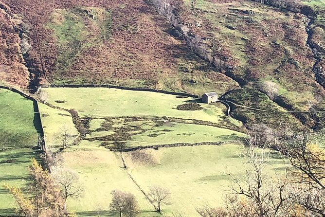 Stunning Lake District 4 Hour Tours! - Practical Insights and What to Expect