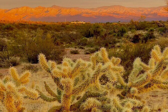 Stunning Sunset or Sunrise Guided Hiking Adventure in Phoenix - Overview of the Experience
