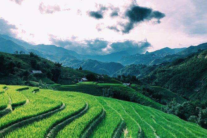 Stunning Terraced Rice Fields on 2-Day Trekking - Final Thoughts