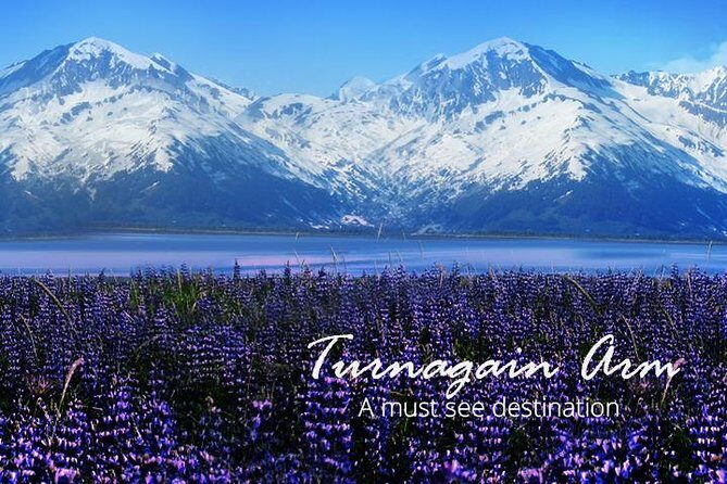 Stunning Turnagain Arm Tour: "A Must See Destination" - A Complete Look at the Turnagain Arm Tour