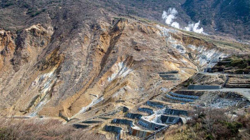 Stunning Views of Mt. Fuji & Hakone Day Trip From Tokyo - FAQs about the Mt. Fuji & Hakone Day Trip