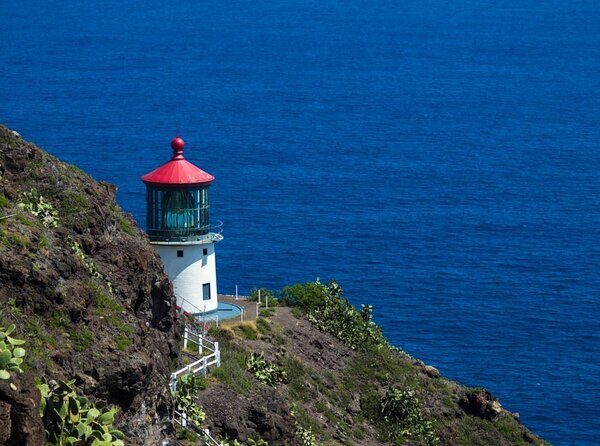 Stunning Views of Oahu: Half-Day Scenic Tour with 7 Lookouts - Stunning Views of Oahu: Half-Day Scenic Tour with 7 Lookouts
