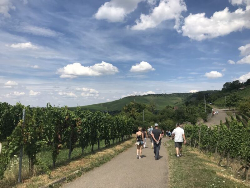Stuttgart: 2-Hour Vineyard Hike with Tastings - Why Consider the Stuttgart Vineyard Hike?