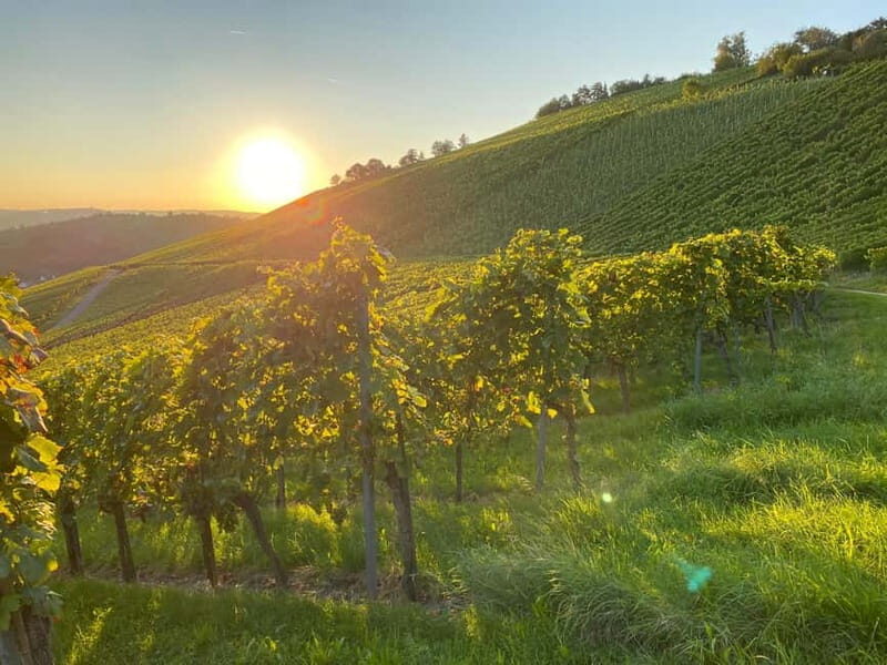 Stuttgart: After work wine walk with tasting - Key Points