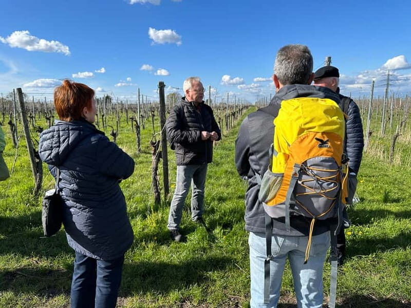 Stuttgart: After work wine walk with tasting - Detailed Review of the Tour Experience