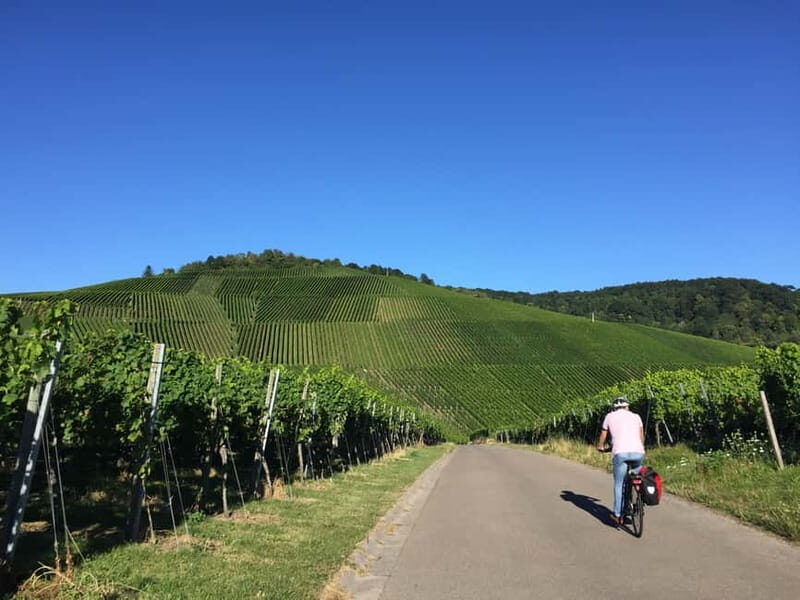 Stuttgart: E-bike wine tour including tasting - Why This E-bike Wine Tour Stands Out