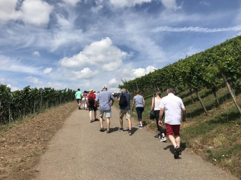 Stuttgart: Guided Wine Walk & Wine Tasting - The Sum Up