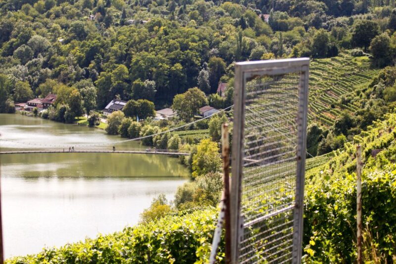 Stuttgart Nature Experience Day - FAQs