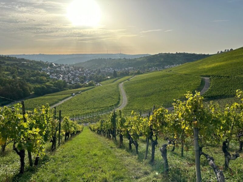 Stuttgart: Sparkling Wine Tour - Detailed Review: What to Expect on the Sparkling Wine Tour