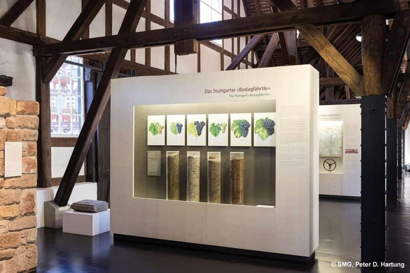 Stuttgart: Taster tour of the Wine Museum incl. 0.1 l wine - What to Expect During Your Visit