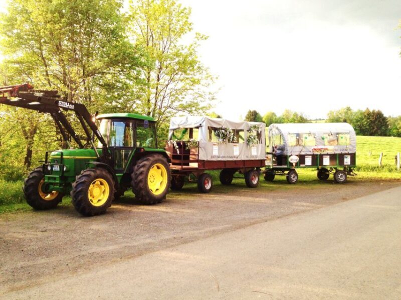 Stuttgart: Vineyard Tour by Covered Wagon - Why You’ll Love the Covered Wagon Vineyard Tour