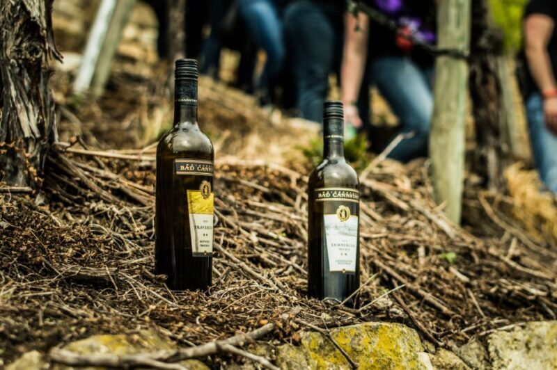 Stuttgart: Vineyard Tour by Covered Wagon - Authenticity and Value