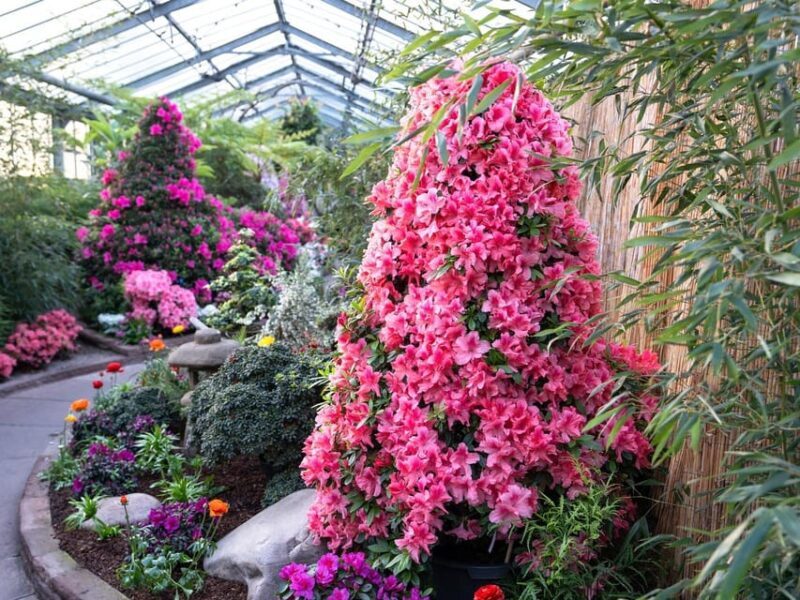 Stuttgart: Wilhelma Zoological-Botanical Garden Ticket - Frequently Asked Questions (FAQs)