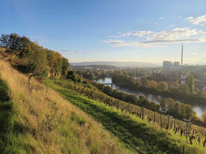 Stuttgart: Wine & Tapas Boat Tour on the Neckar - Authentic Insights from Reviews
